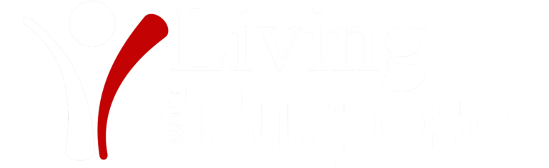 Job Description: Direct Support Professional (DSP)